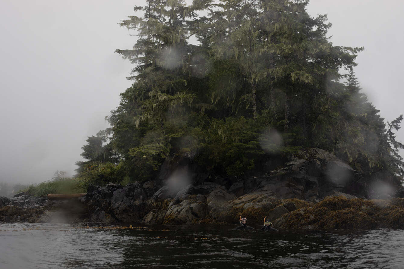 ellie schmidt, archive