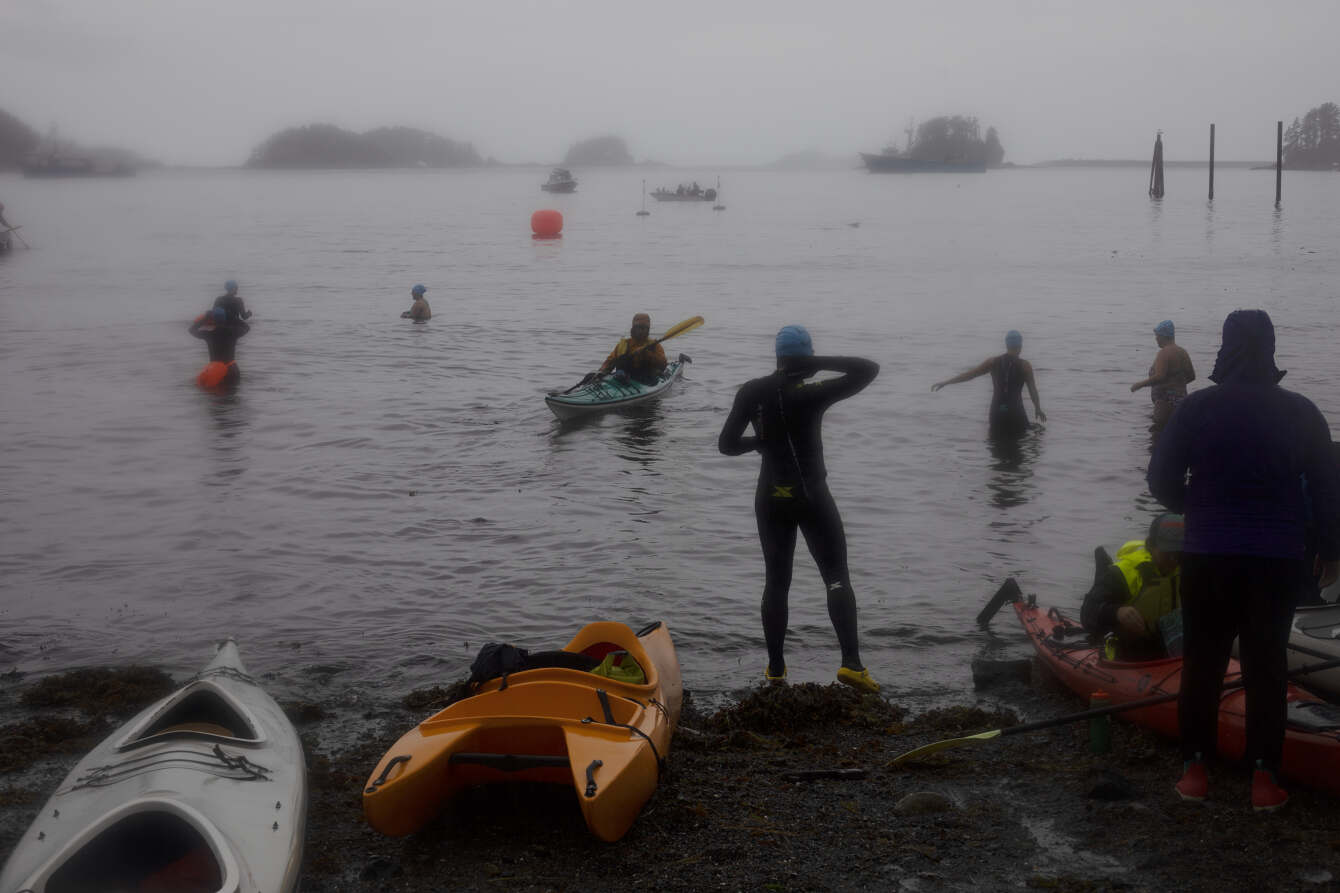 ellie schmidt, archive