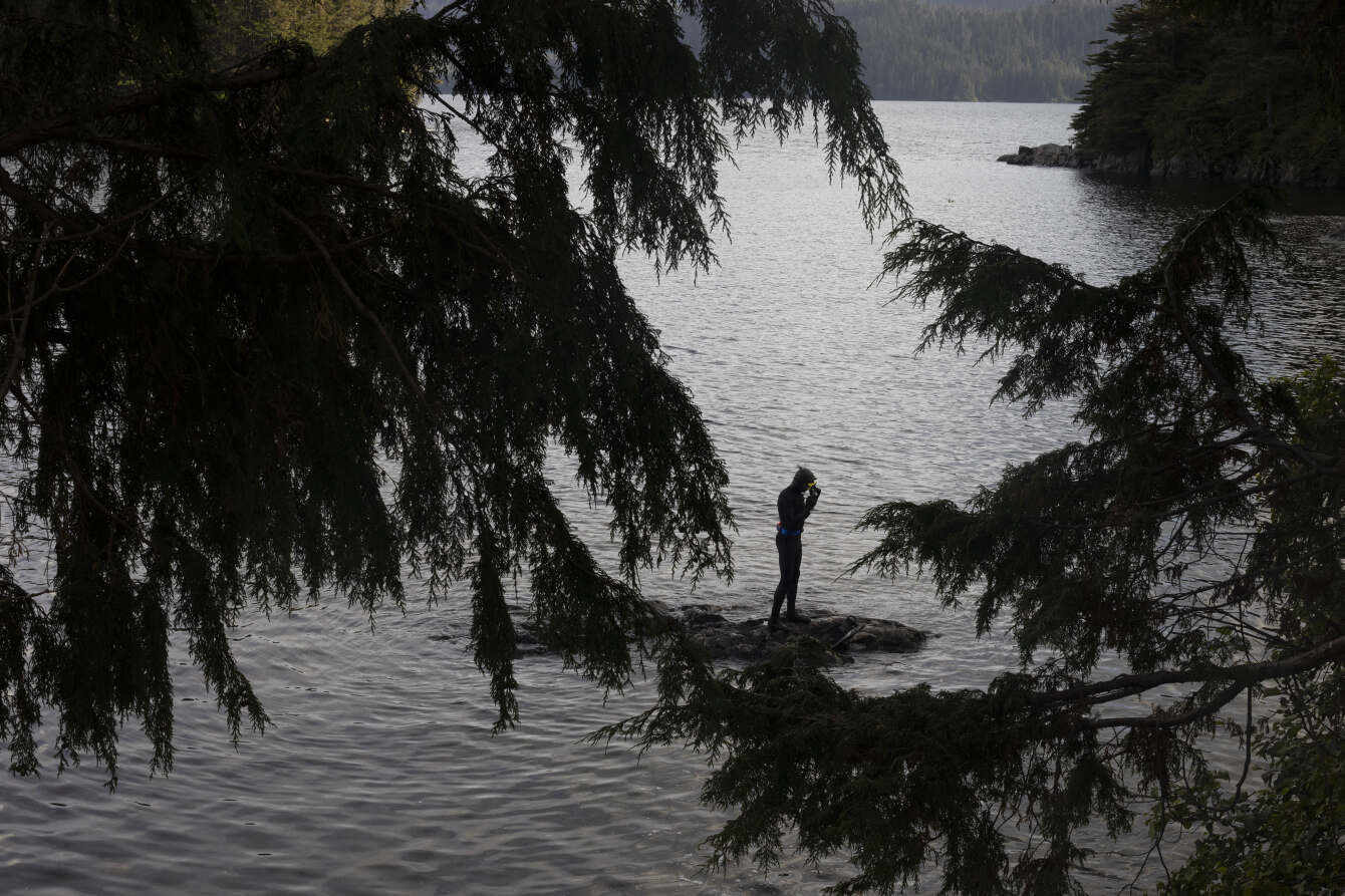 ellie schmidt, archive