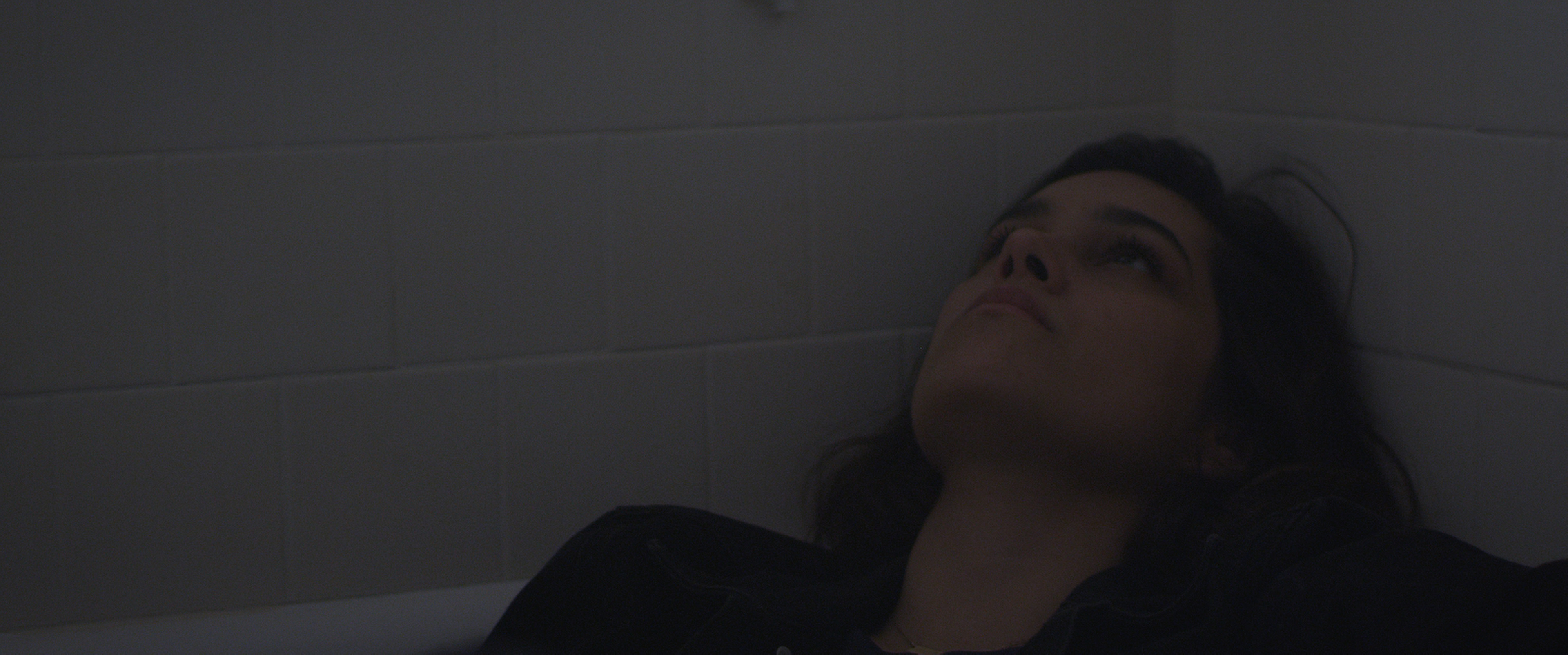 The Bad Parts - Evan Schneider | Cinematographer and Colorist