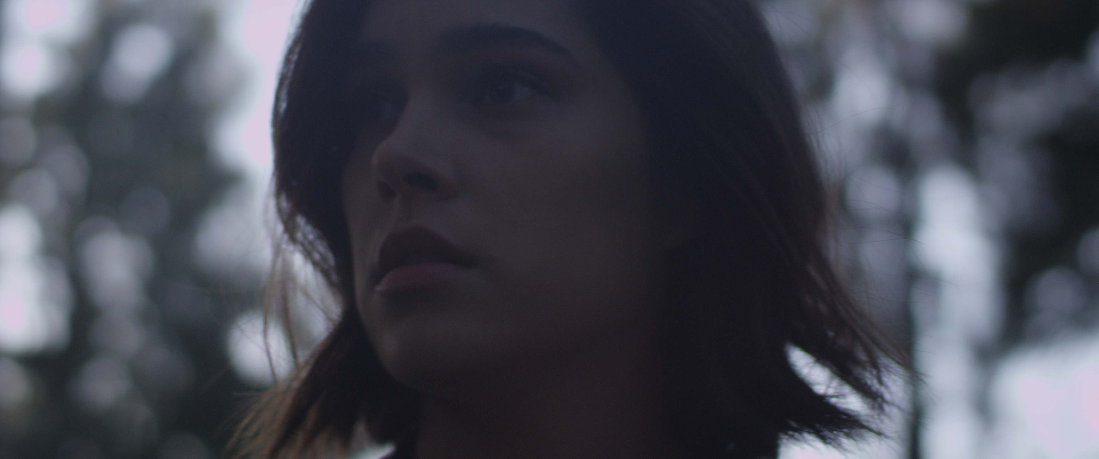 The Bad Parts - Evan Schneider | Cinematographer and Colorist