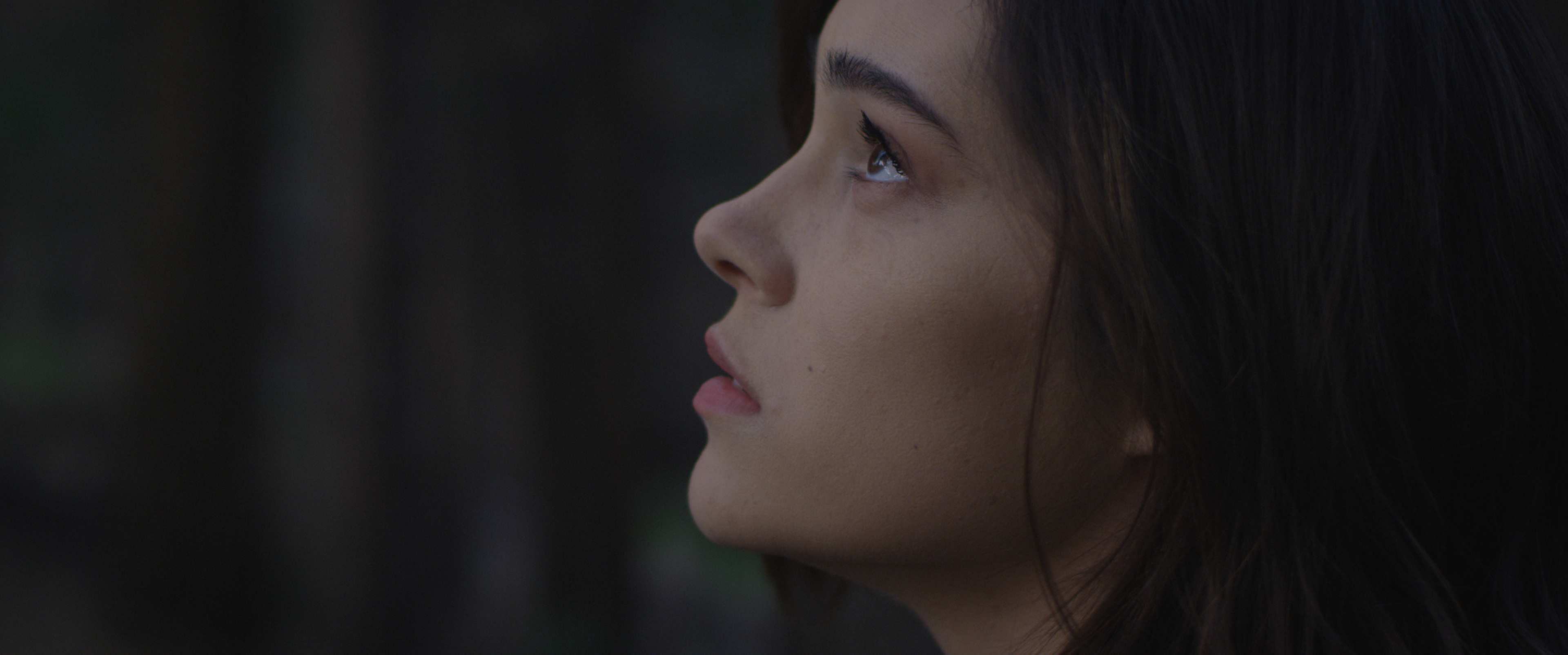 The Bad Parts - Evan Schneider | Cinematographer and Colorist