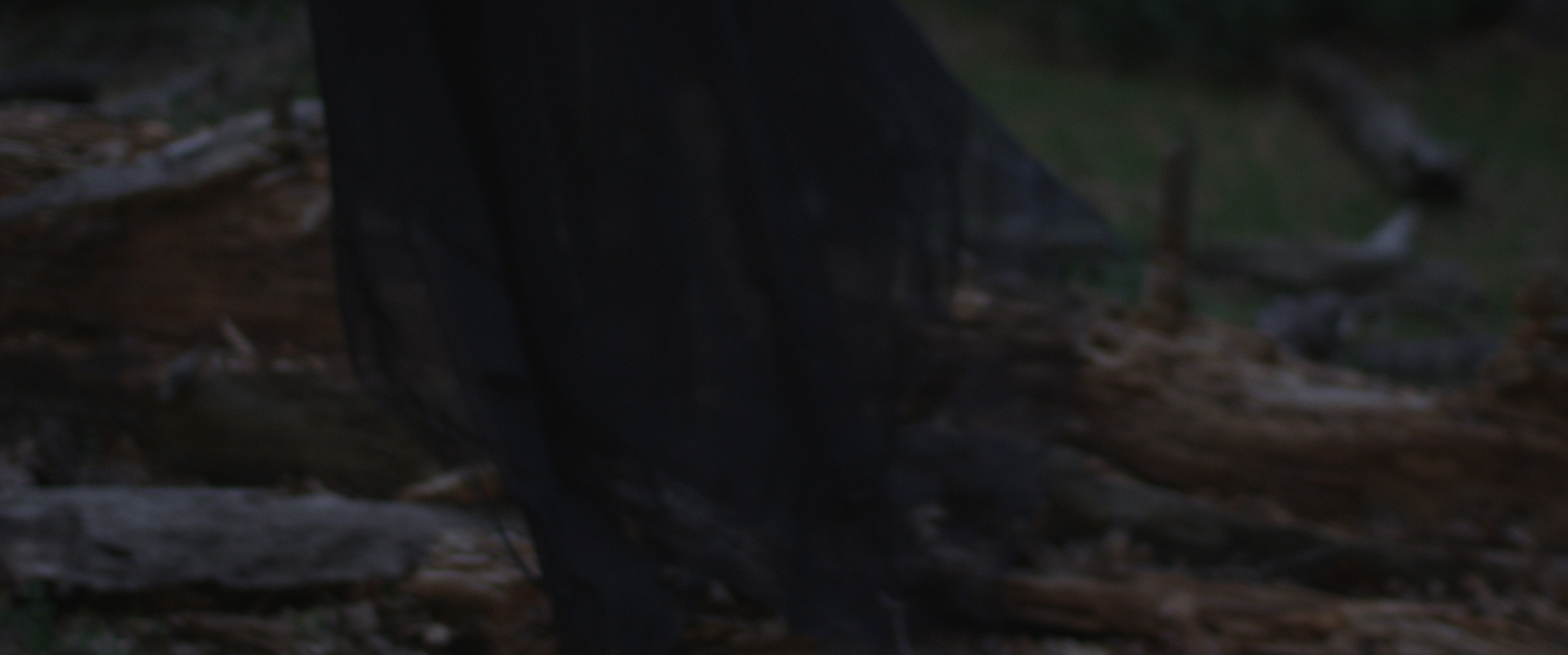 The Bad Parts - Evan Schneider | Cinematographer and Colorist