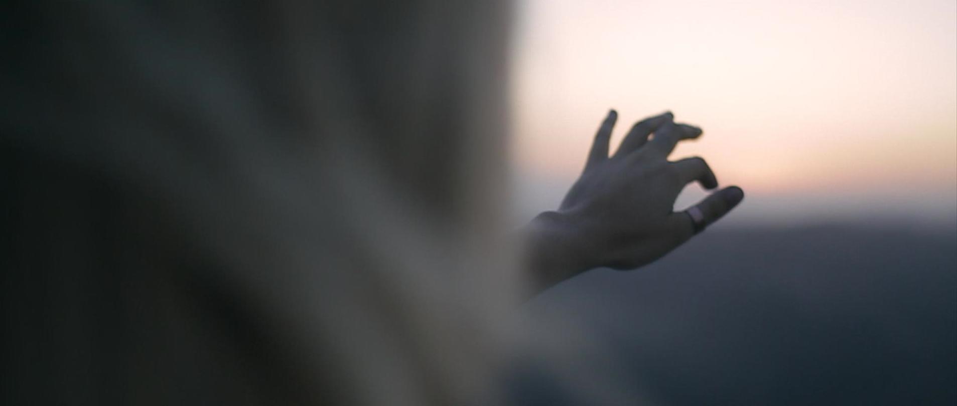 Sleeping Limbs - Evan Schneider | Cinematographer and Colorist