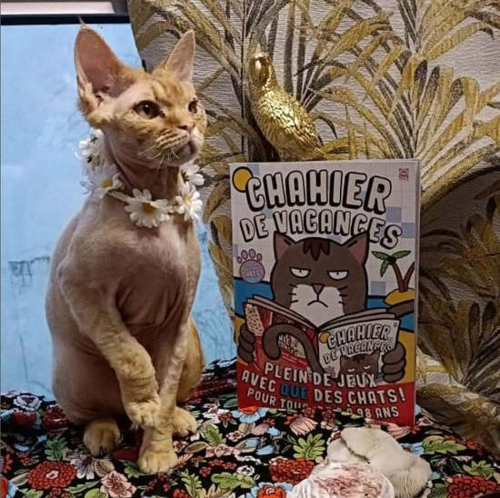 Chahier de Vacances - CP