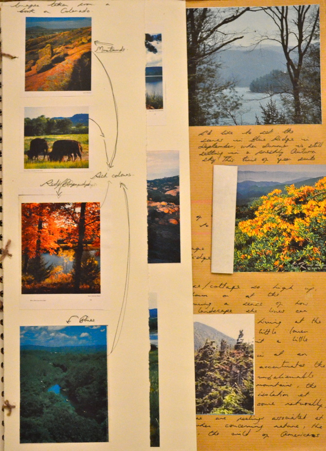 Pig by Roald Dahl - Aurora Barrett