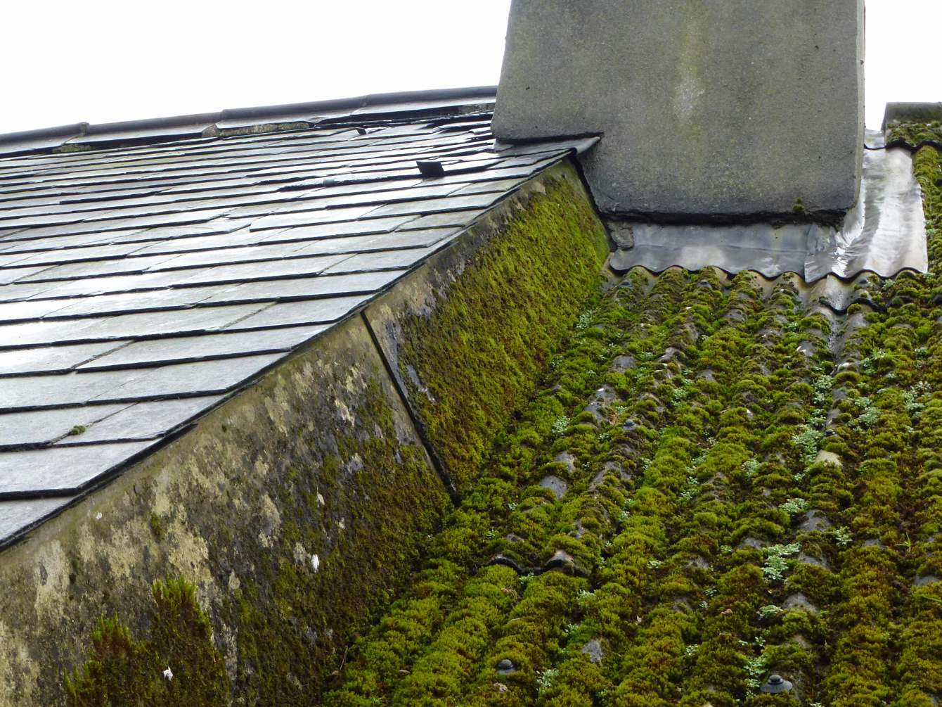 Bogan House - Grade I Listed - Phase 1 - Fuse Architecture