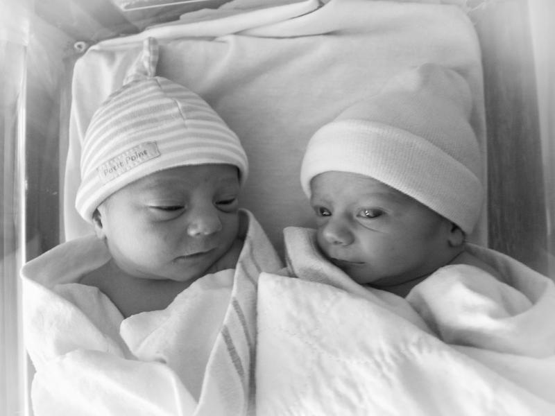 The Twin Project - PatKarbo