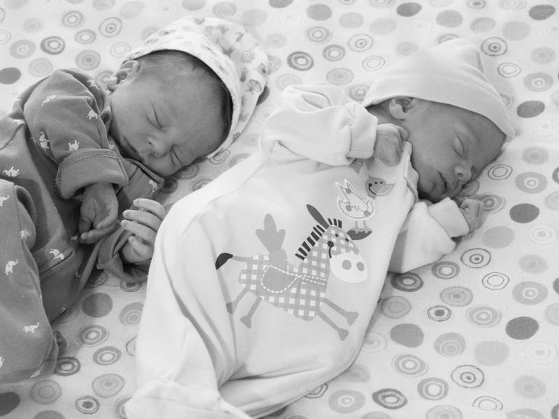 The Twin Project - PatKarbo