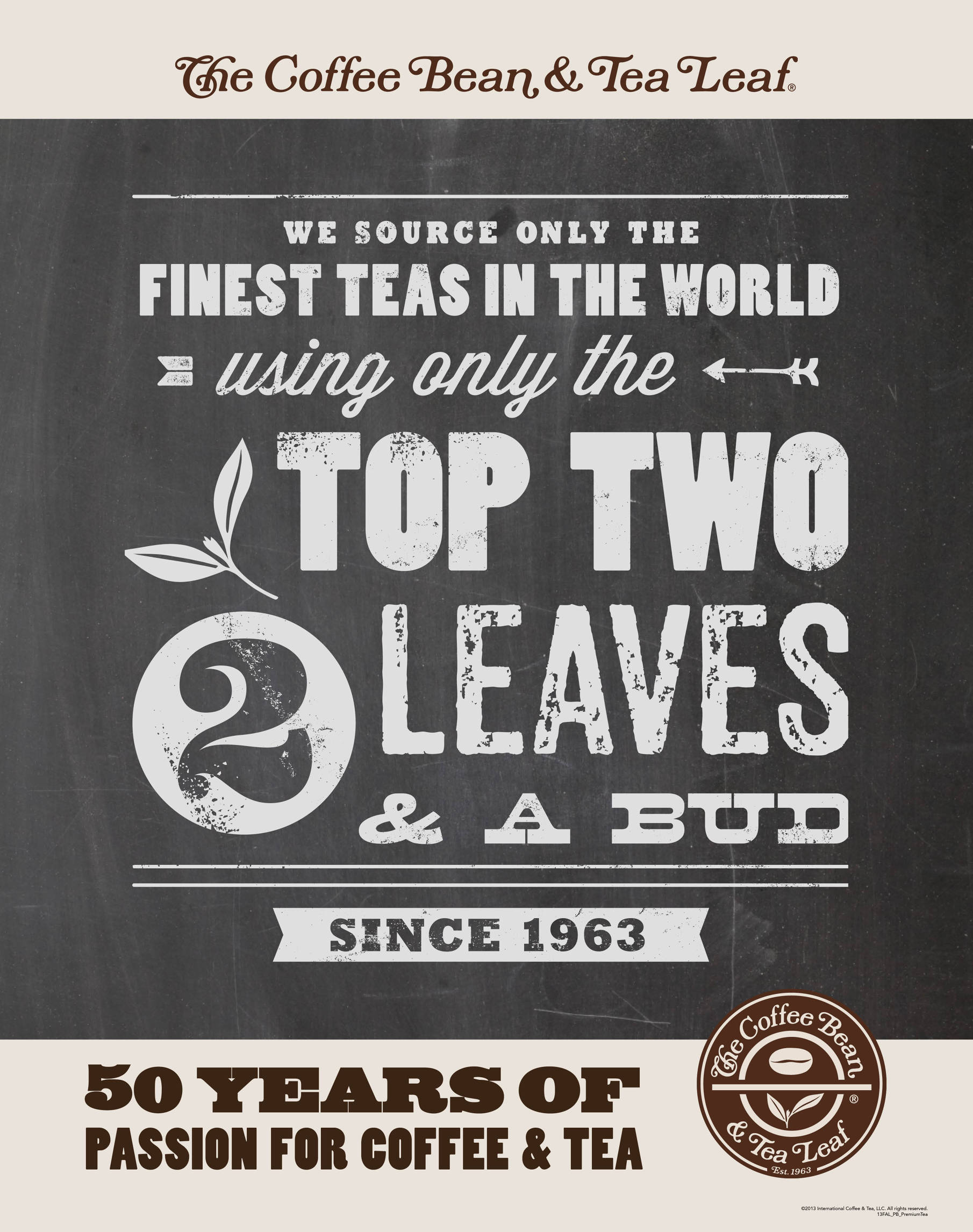 The Coffee Bean Handcrafted Campaign - Beth Wood | Art Director