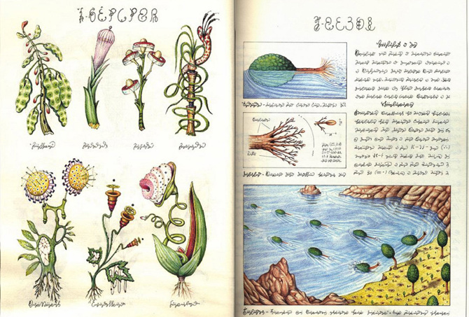 Codex Seraphinianus - Diamond Twin