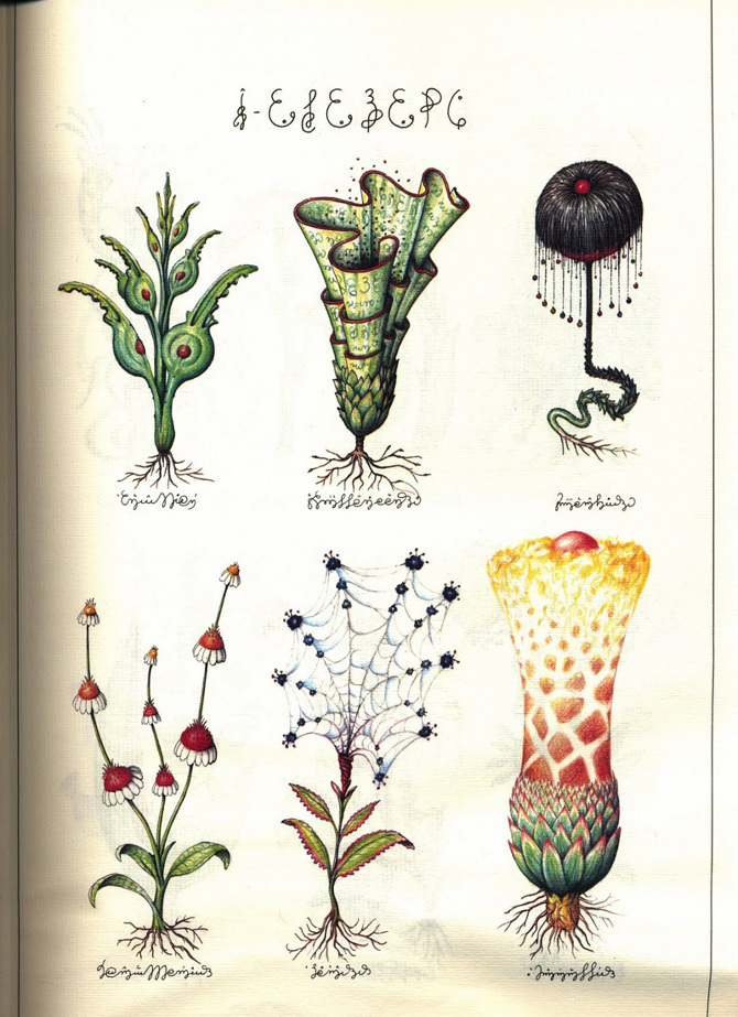 Codex Seraphinianus - Diamond Twin