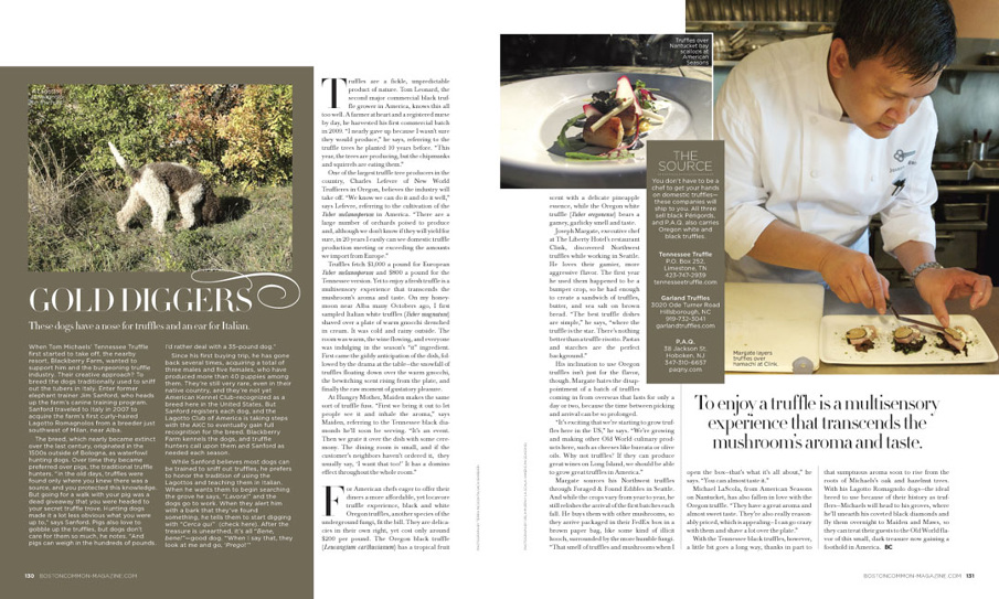 Boston Common Dec/Jan 2011 - Seth Olenick - Creative/Art Director/Photo ...