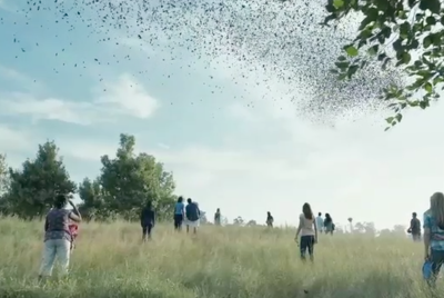 Alexis Garber, NYC Copywriter