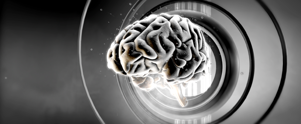 DOGBLOOD : NEXT ORDER - Strangeloop - Art of David Wexler