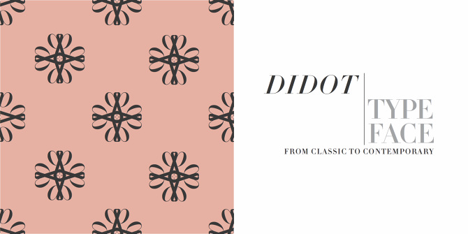 Didot Type Specimen Book - www.brittanycutrone.com