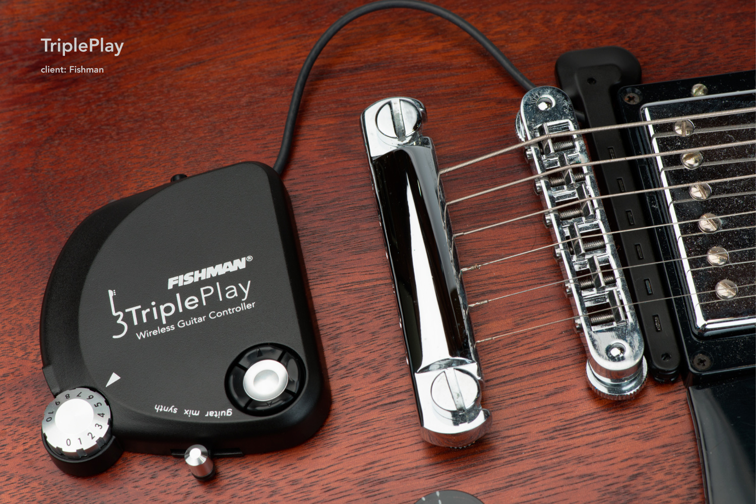 FISHMAN TRIPLE PLAY - Peter Castellucci Design