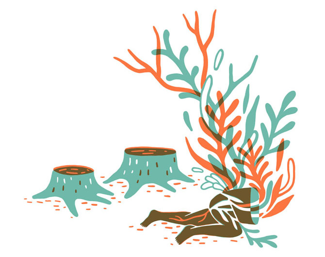 The 5 Stages of Decomposition - Caitlin Taguibao Illustration