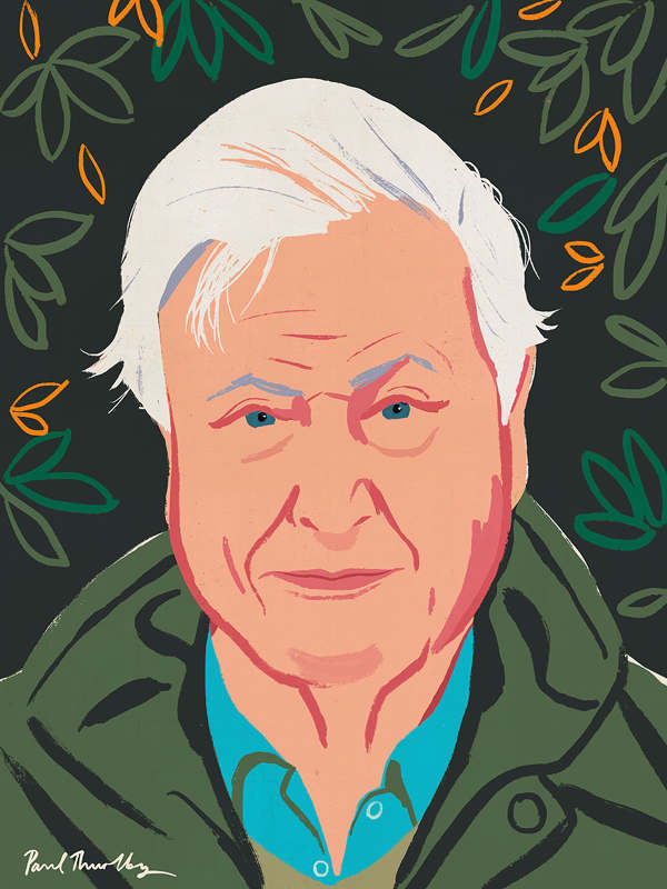 ABOUT - Paul Thurlby