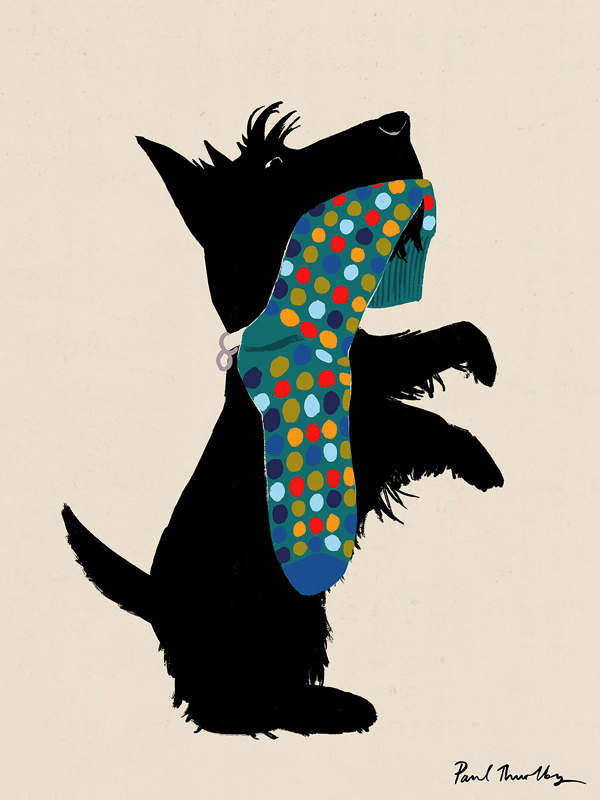 ABOUT - Paul Thurlby