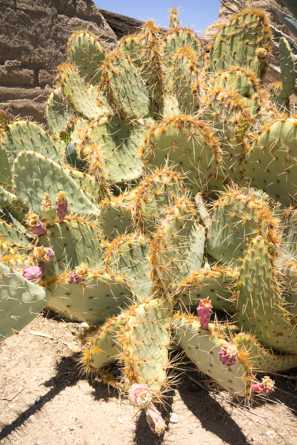 landscape - michael salvatore tierney