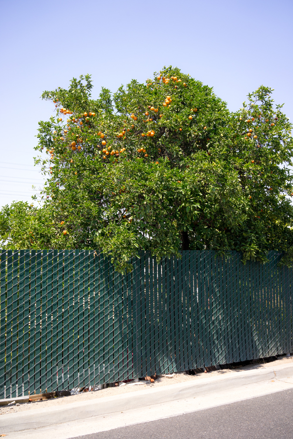 landscape - michael salvatore tierney