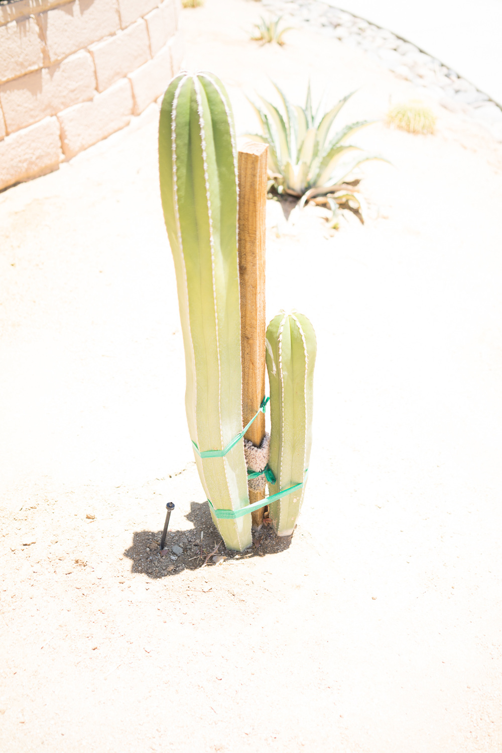 landscape - michael salvatore tierney