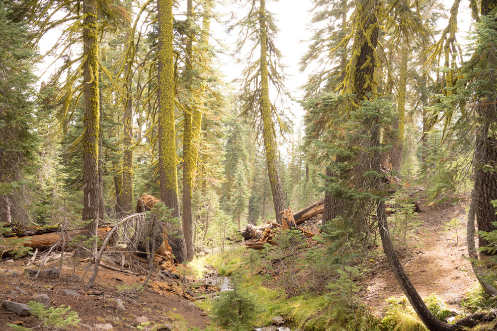 landscape - michael salvatore tierney