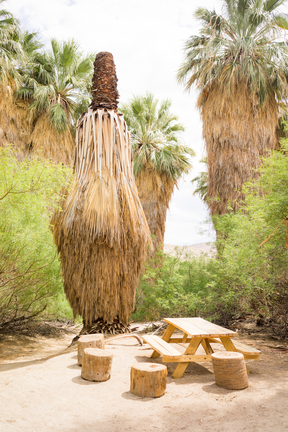 landscape - michael salvatore tierney