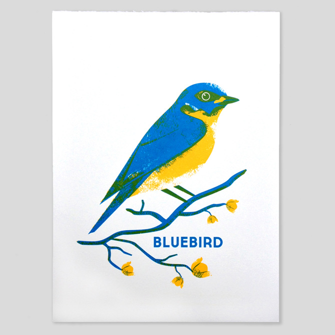 Bird screen prints - Chris Andrews