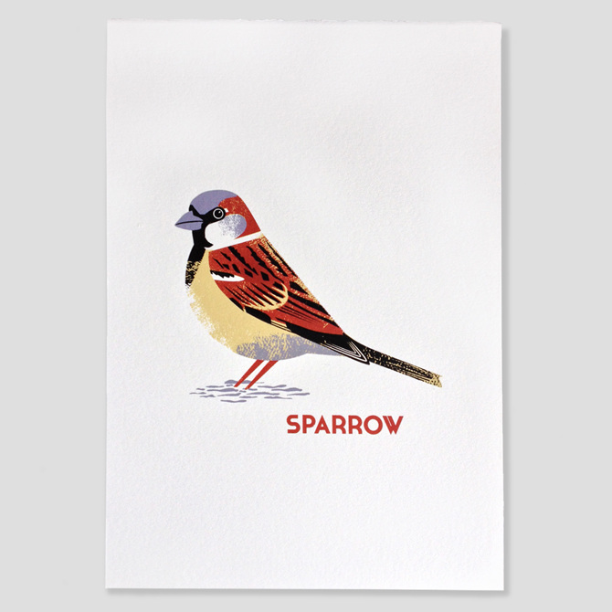 Bird screen prints - Chris Andrews