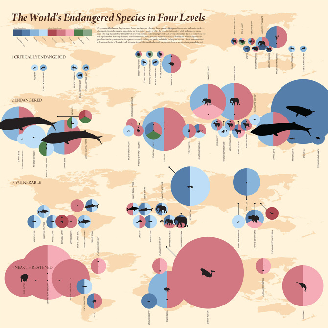 Endangered Species - Character