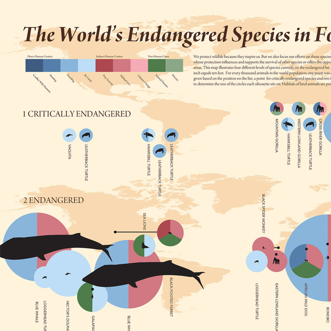 Endangered Species - Character