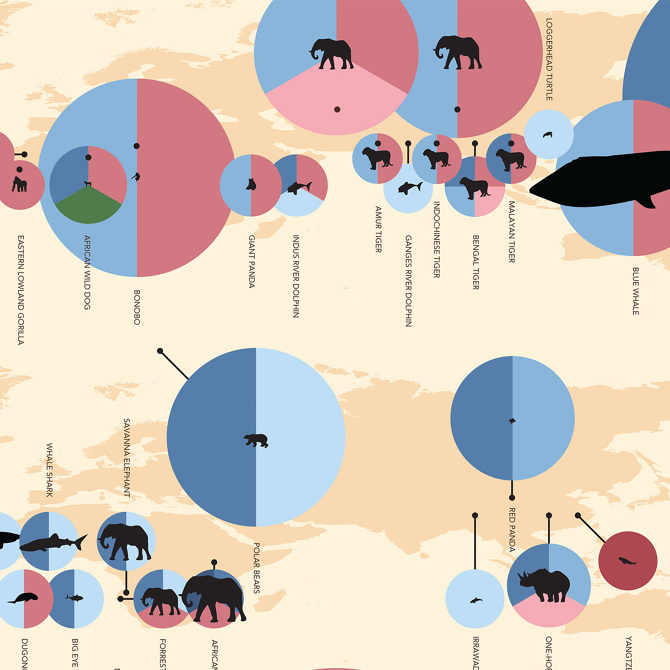 Endangered Species - Character