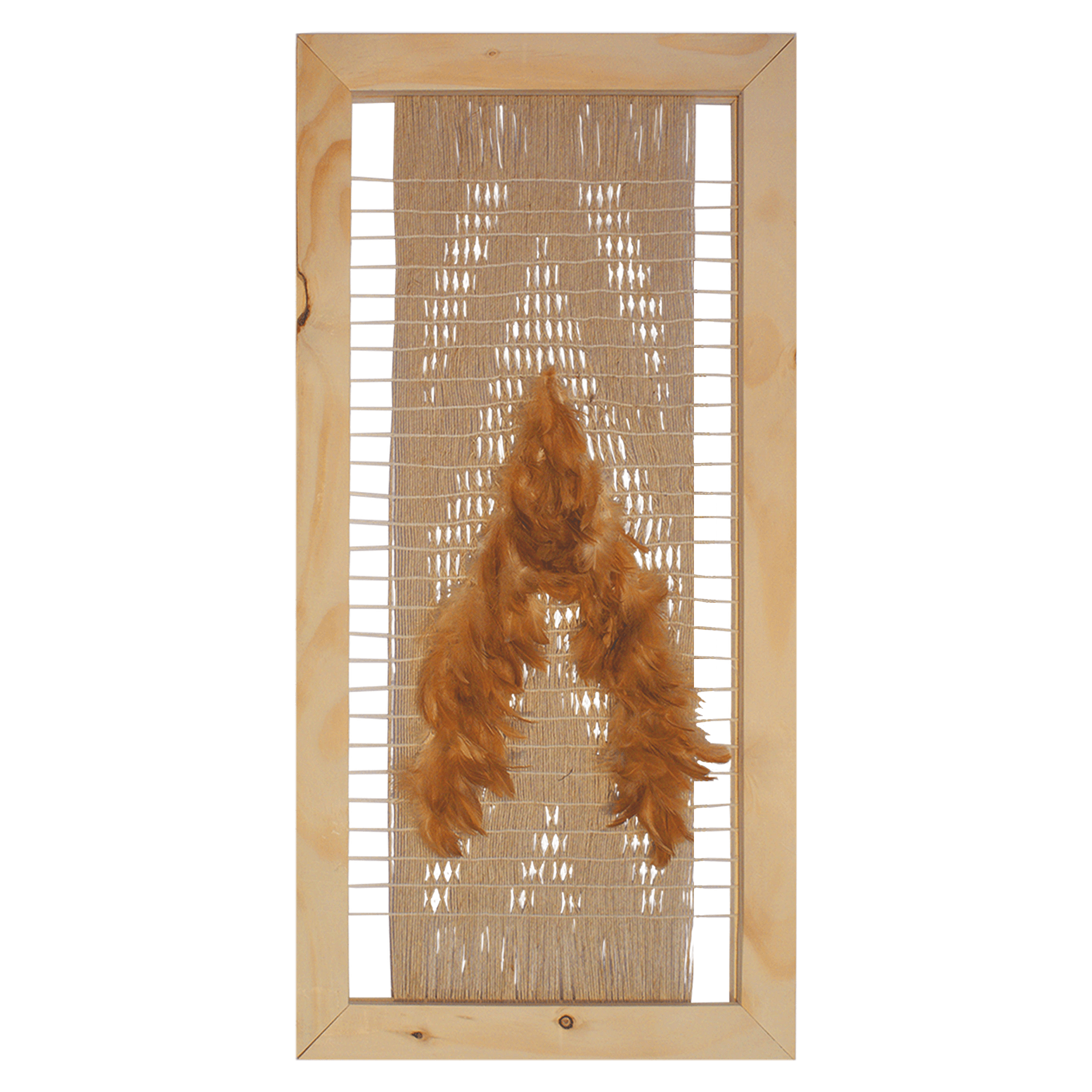 TOI RARANGA - Art of Maori weaving - J Bartlett