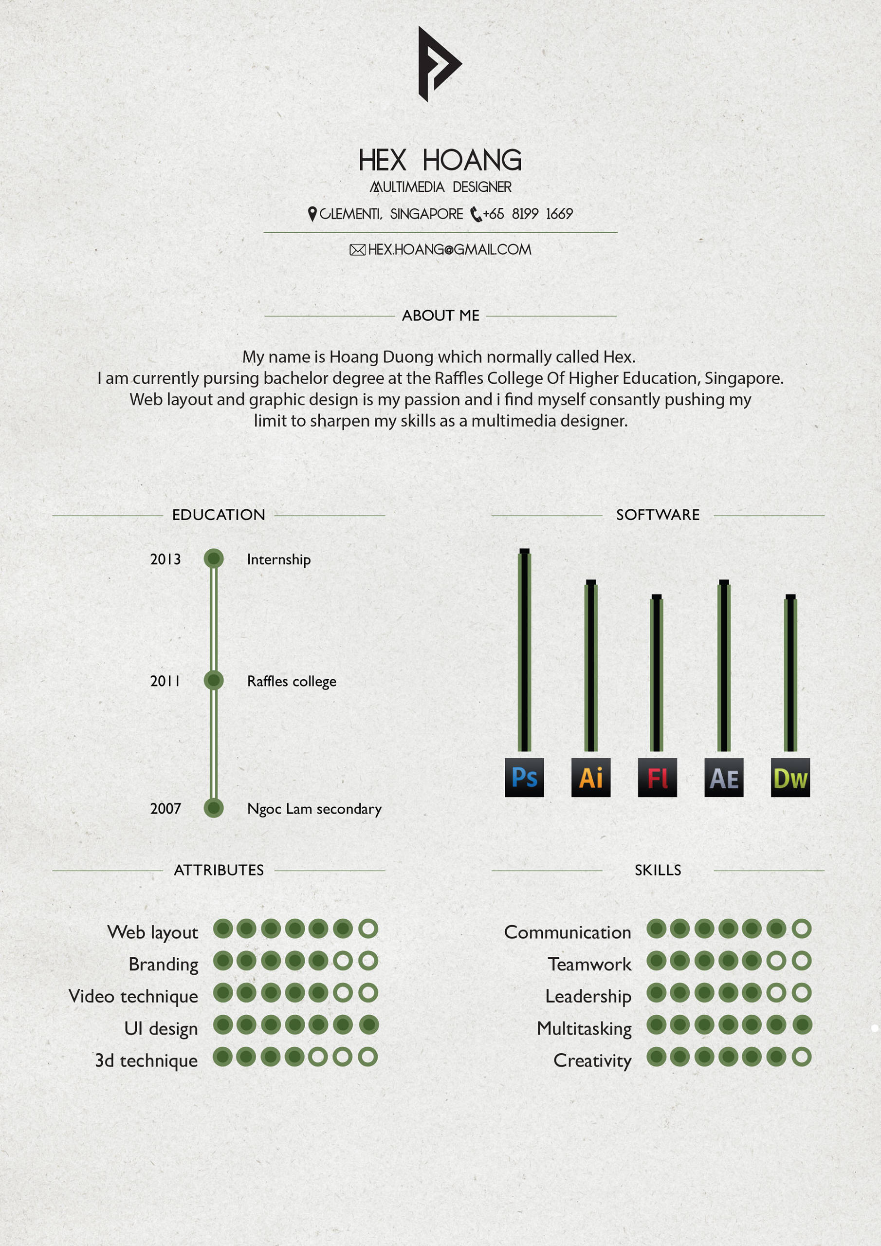 infographic CV - Hex Hoang
