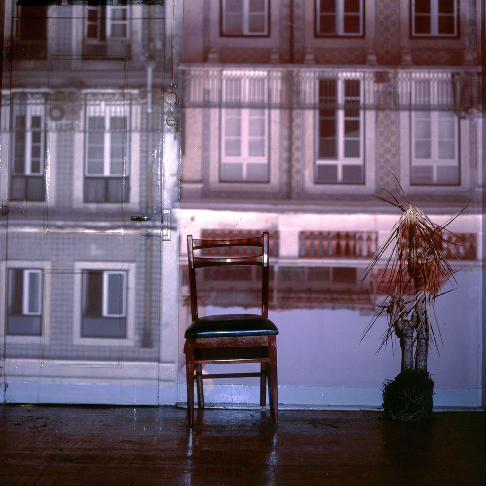 Camera Obscura 2013 - CameraObscura