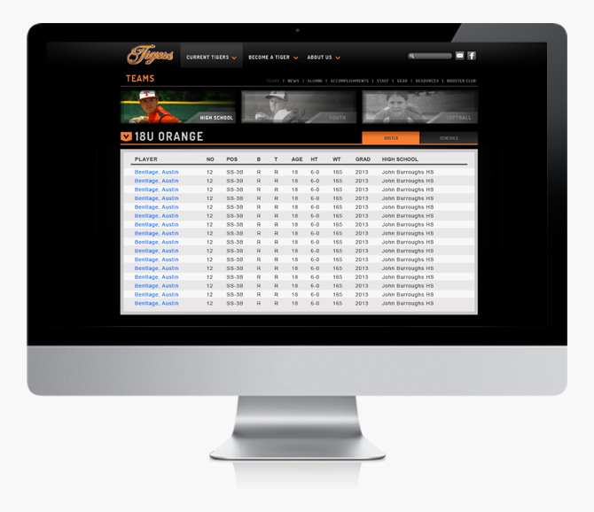 Rawlings Tigers Website - Lee Essner Design