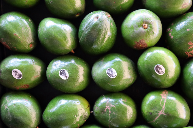 La memoria de las frutas (Miami) - claremi
