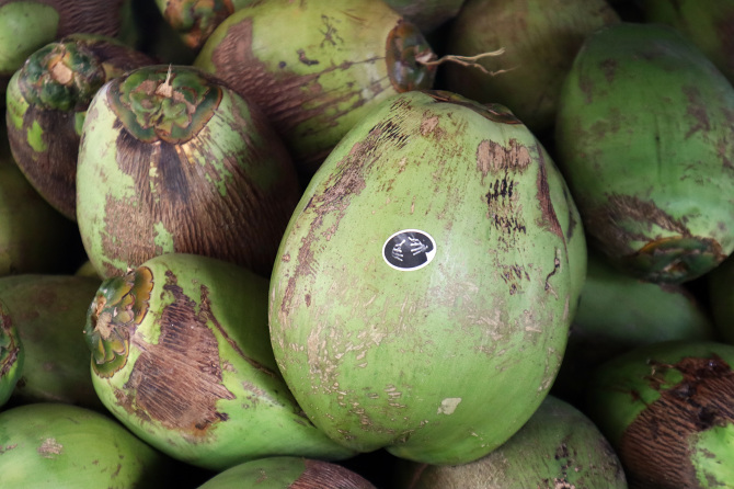 La memoria de las frutas (Miami) - claremi