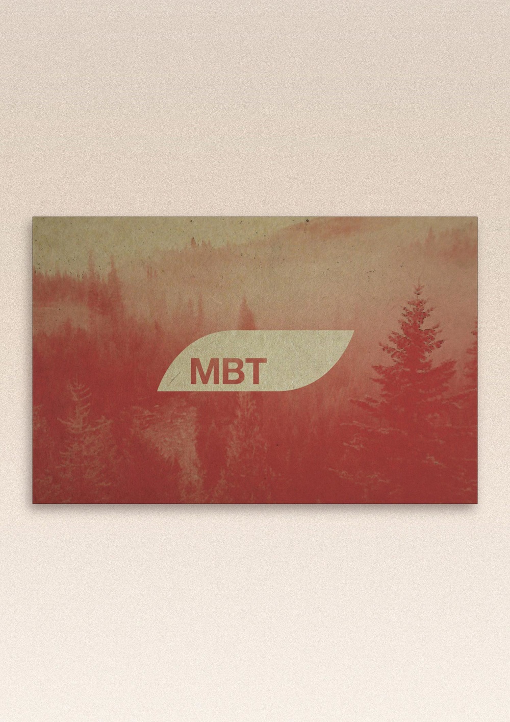 MBT – Strategy and Branding - jungo-studio