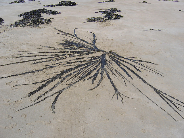 Expanded Drawing 08 - 11 - Briony Barr