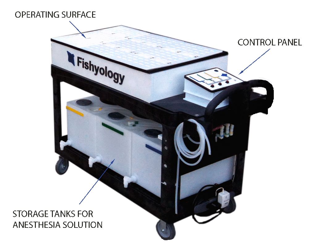 Fish Anesthesia Cart - Olivia Gann