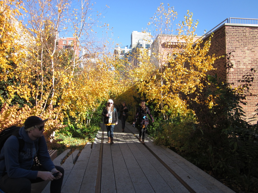 HIGH LINE ARCHITECTURE - NYCSTUDIOARCH