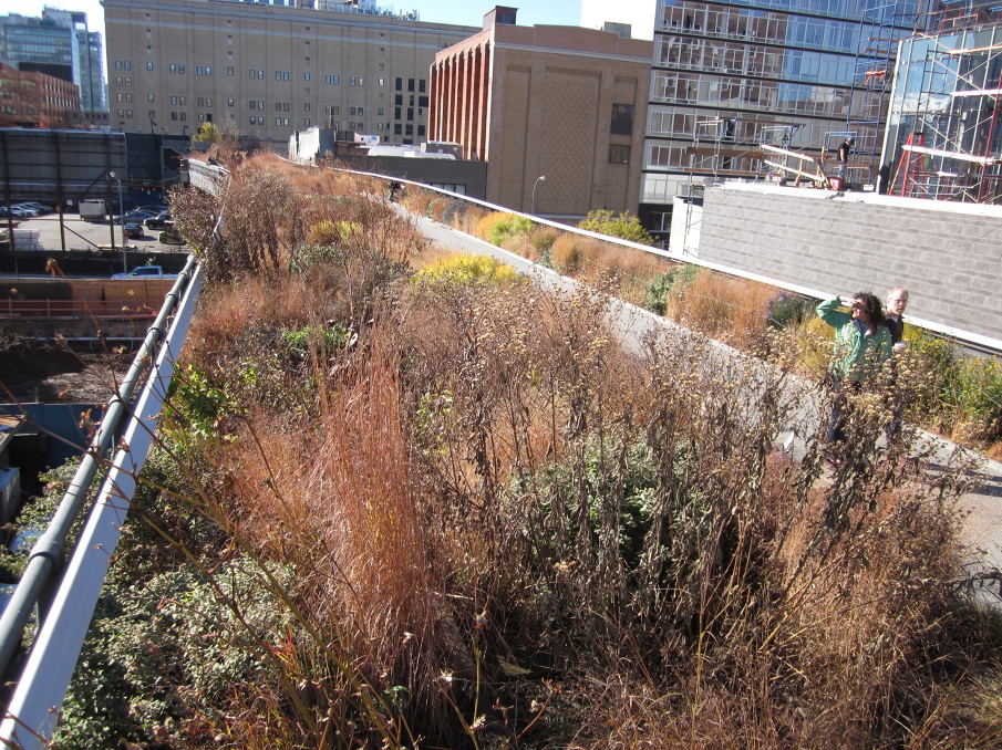 HIGH LINE ARCHITECTURE - NYCSTUDIOARCH