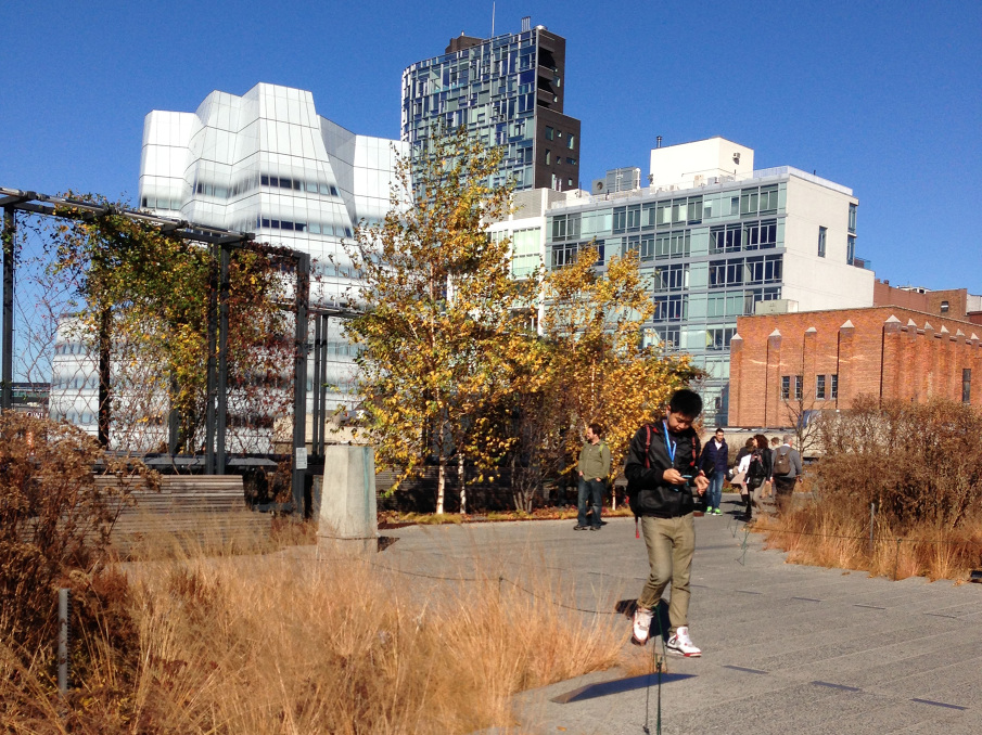 HIGH LINE ARCHITECTURE - NYCSTUDIOARCH