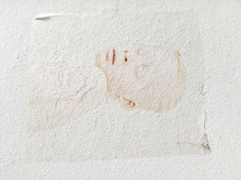 Océane In Situ V2 -2000H - eric nehr, photographer