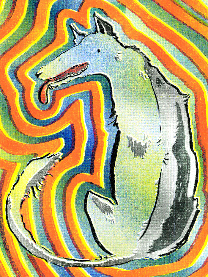 Molly Howard-Foster - Drawn Chorus Collective