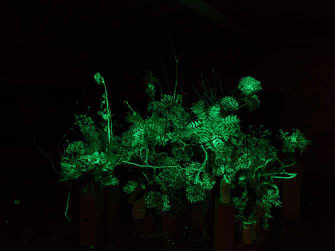 Kéfir - Jennyfer Grassi