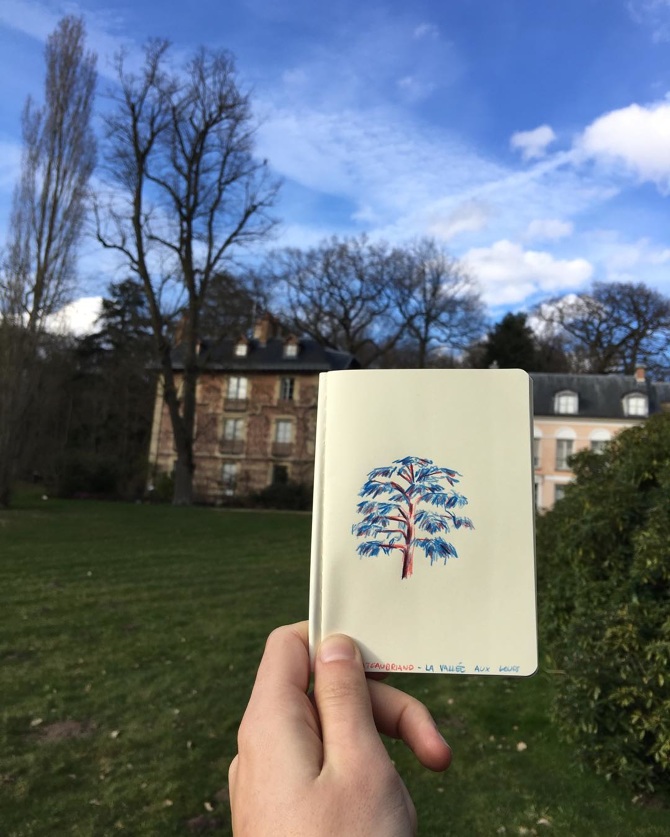 Meta landscapes - AnaisMichel